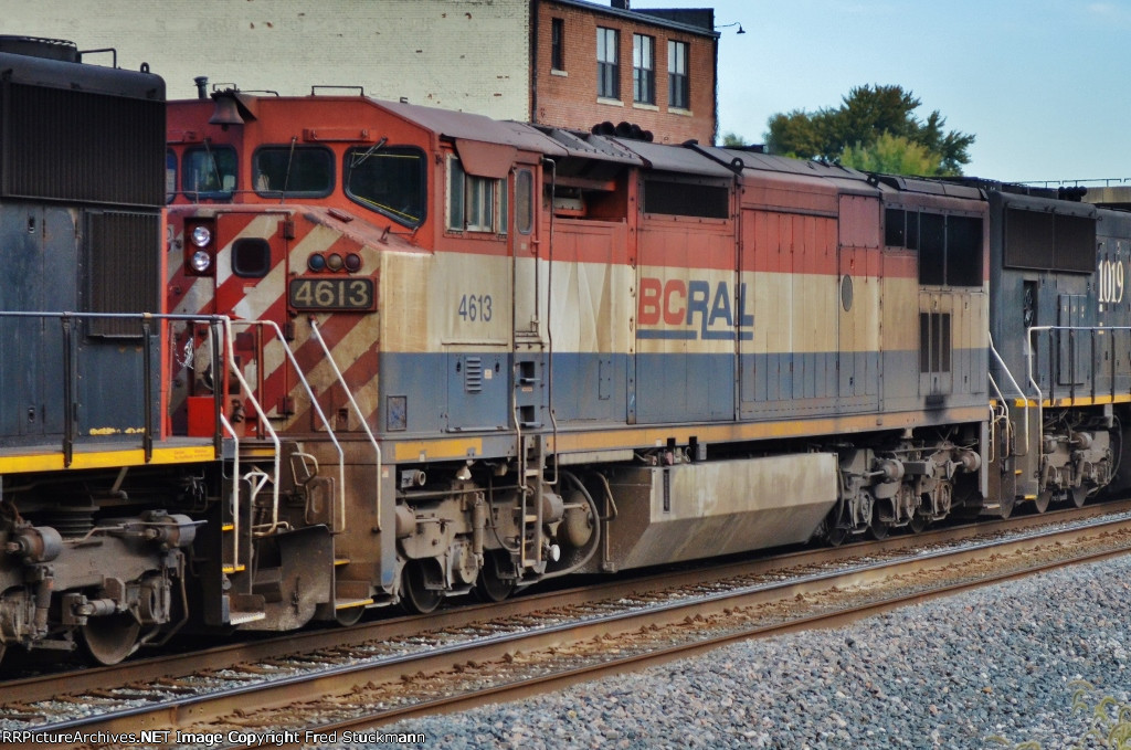BCOL 4613